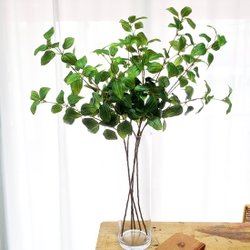 1300K 인테리어 조화 필로 가지 - SSG.COM