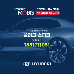 플러그 스파크 (1881711051) - SSG.COM