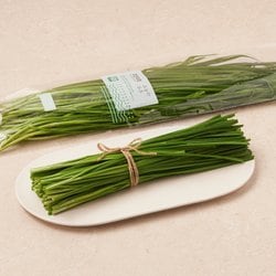친환경 부추 200g - SSG.COM