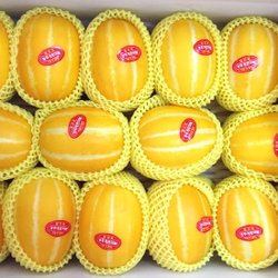 [경상북도]생산자직송 정품 성주참외 특상 2.5kg (6~12과내외) - SSG.COM