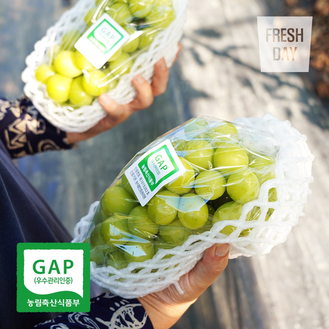 [GAP인증] 안성 고당도 샤인머스켓 망고포도 정품 6kg (3kg 2박스), 믿고 사는 즐거움 SSG.COM