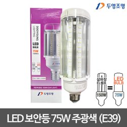 두영 LED 투명 보안등 E39 75W 주광색 LED보안등 - SSG.COM