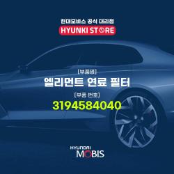 현대모비스엘리먼트 연료 필터 (3194584040) - SSG.COM