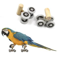 롤케이트 FANKK-299-앵무새 - SSG.COM