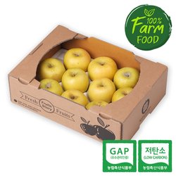 [이슬마루] GAP 저탄소 황금사과 시나노골드 3kg(14~16과) - SSG.COM
