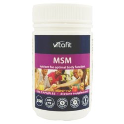 비타핏 엠에스엠 VITAFIT MSM 600MG 250캡슐 - SSG.COM