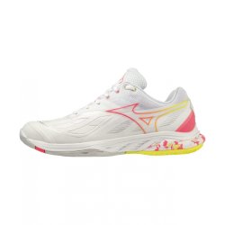 2 FIT 24.5 cm 2E [미즈노] 배드민턴 슈즈 웨이브 팡 피트성 그립력 안정성 반발성 하드 히터 - SSG.COM