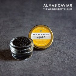 오세트라 선물세트(15g) - SSG.COM