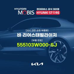 현대모비스바 리어스태빌라이저 (555103W000-SJ) - SSG.COM