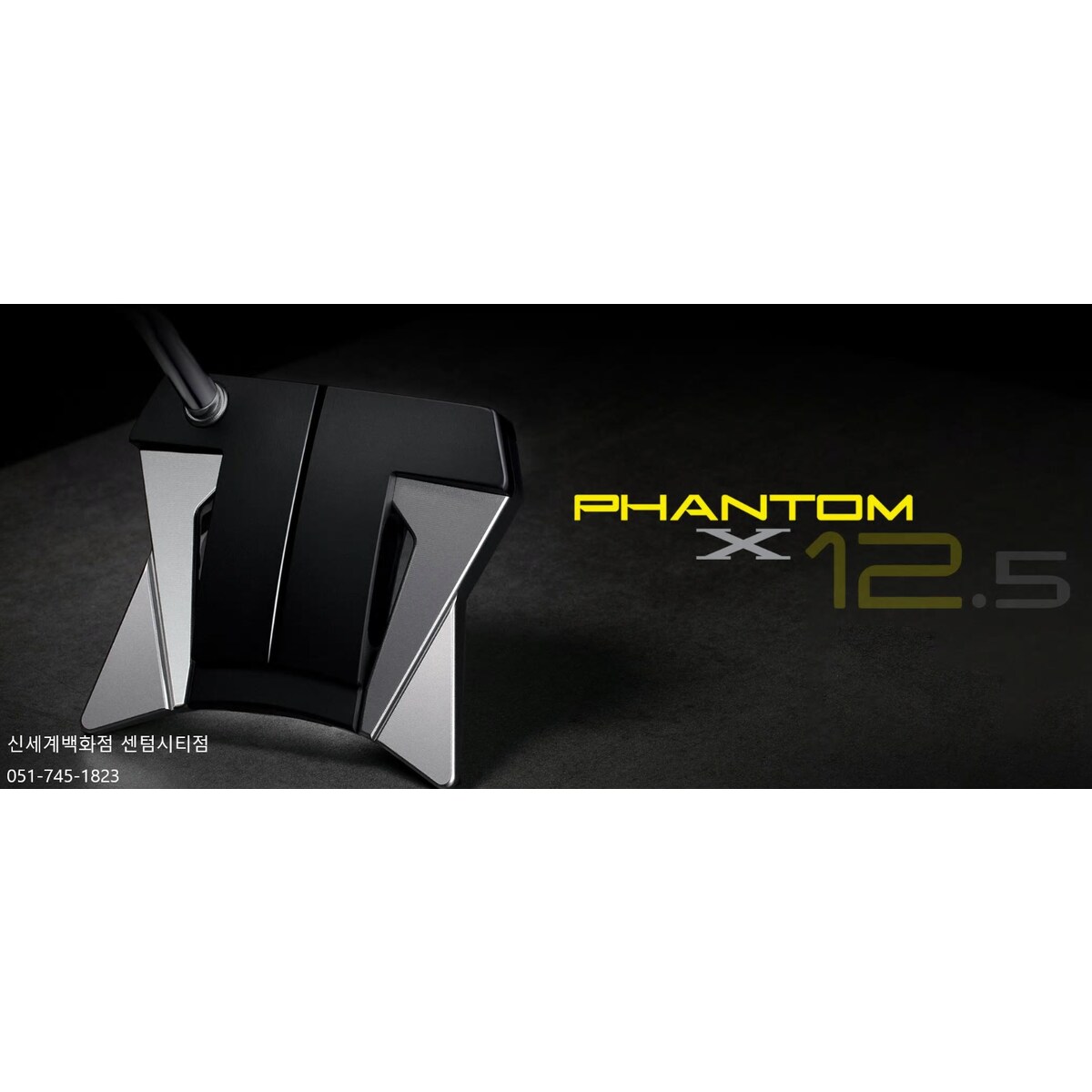 [정품] 타이틀리스트 2019 스카티카메론 팬텀X5/팬텀X5.5/팬텀X12.5 골프퍼터(PHANTOM) 아쿠쉬네트 정품 ...
