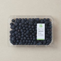 국내산 블루베리 500g (팩) - SSG.COM