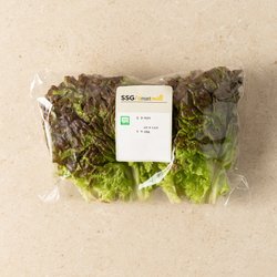 친환경 적상추120g/봉 - SSG.COM