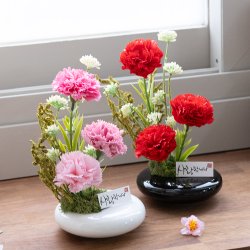 테라 카네이션 화분set 20cm (2컬러) 조화 어버이날 스승의날 선물 감사 - SSG.COM