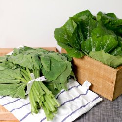 국내산 호박잎 1단 (380g 내외) - SSG.COM