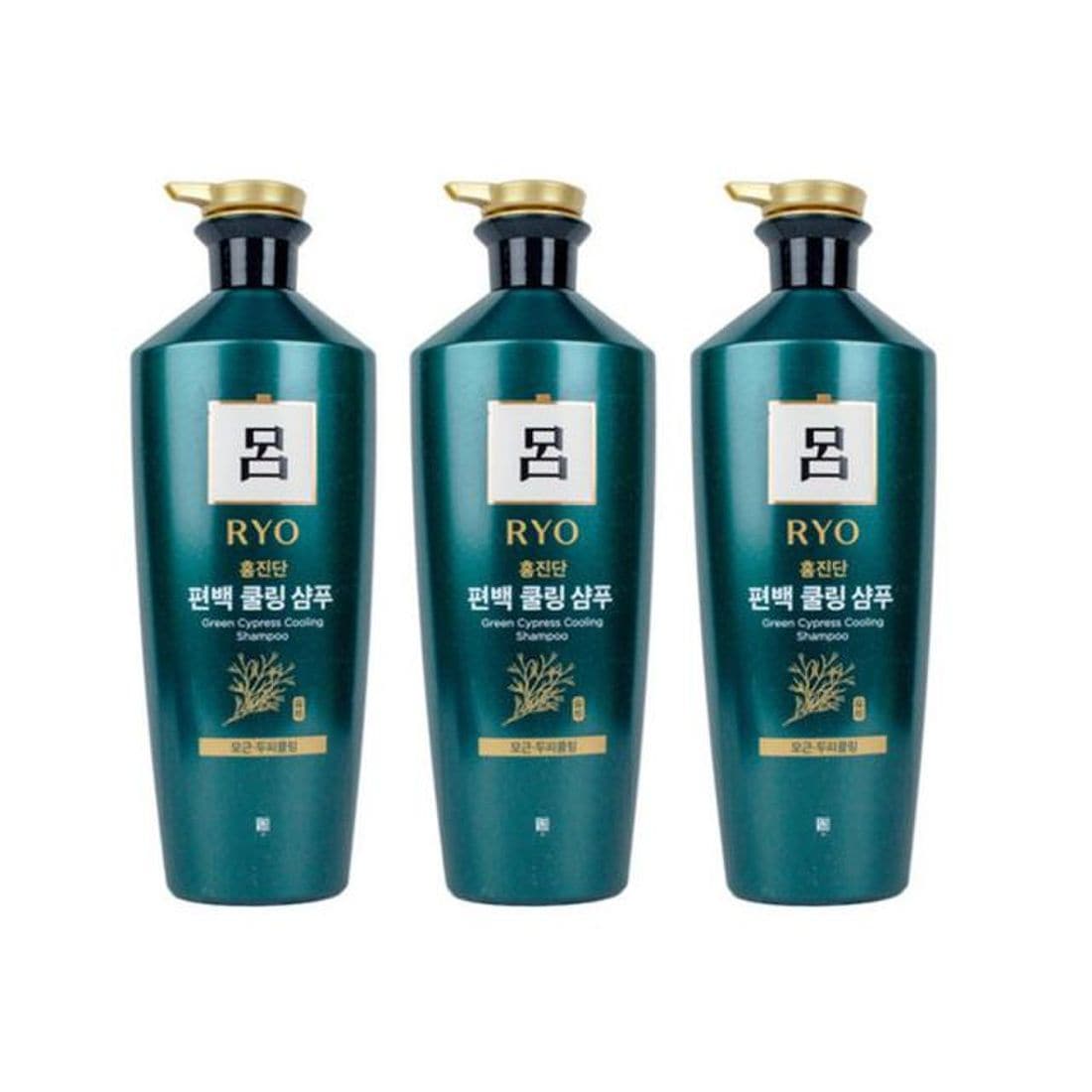 려 홍진단 편백 두피쿨링 샴푸 지성두피 820ml 8개, 믿고 사는 즐거움 SSG.COM