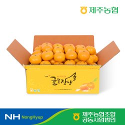 제주농협 귤로장생 하우스감귤 4.5kg 로얄과(2S-M) - SSG.COM