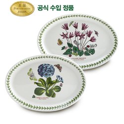 오발플레이트 24cm 2p (BG) - SSG.COM