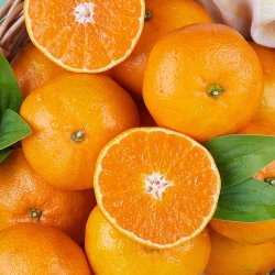 새콤달콤 제주 서귀포 감귤 쥬스용 9kg (L-2L, 중대과) - 이마트몰, 원하는 상품을 원하는 시간에 쓱, 이마트몰