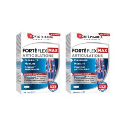 포르테 파마 포르테 플렉스 맥스 120정 2개 Forte Pharma Forte Flex Max Articulations ...