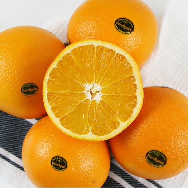 퓨어스펙 고당도 오렌지 9입 (대과/2.7kg내외) - SSG.COM