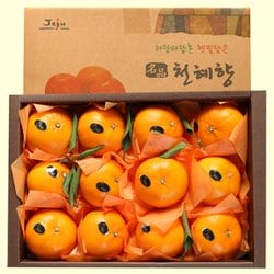 제주도 프리미엄 새콤달콤 천혜향 (7~12과) 2kg - SSG.COM