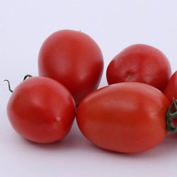 플럼 토마토 2kg - SSG.COM