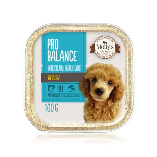 [몰리스] 프로발란스 장건강 300g(100g*3) - SSG.COM