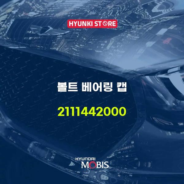 볼트 베어링 캡 (2111442000) - SSG.COM