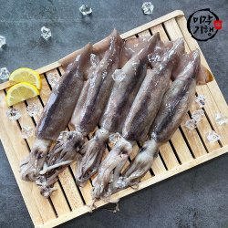 미각기행 손질 통오징어 2미(270g 내외) - SSG.COM