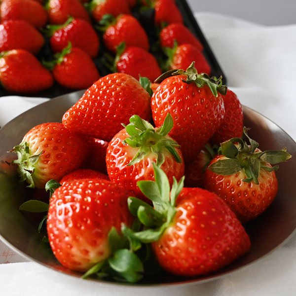 [산지직송] 제철 과일 논산 설향 딸기 1kg (500gx2팩) - SSG.COM