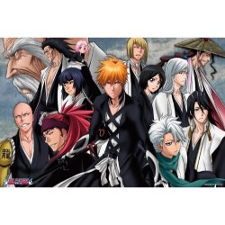 1000피스 BLEACH 신범혼계 (50cmx75cm) - SSG.COM
