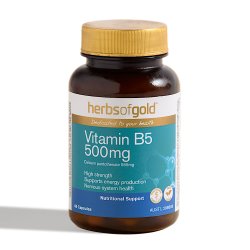 허브스오브골드 비타민B5 500mg herbsofgold Vitamin B5 60캡슐 - SSG.COM