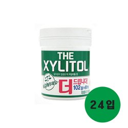 오리온 더 자일리톨 용기 102g 24입 - SSG.COM