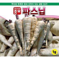 씨앗 당근 파스닙 1g - SSG.COM