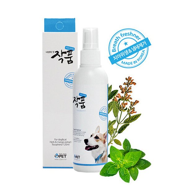 내생에 첫 작품 구강 스프레이 120ml - SSG.COM