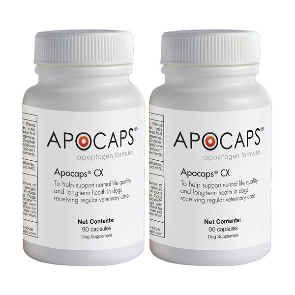 Apocaps 아포캡스 CX Apoptogen Formula 90캡슐 2개 반려견 강아지 영양제 - SSG.COM