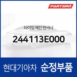 타이밍 체인 텐셔너 (244113E000) 그랜저TG, 싼타페 현대모비스부품몰 - SSG.COM