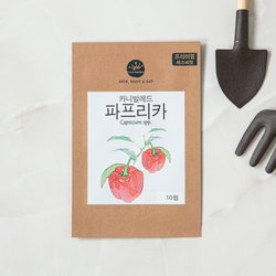 BFA프리미엄채소-파프리카 - SSG.COM