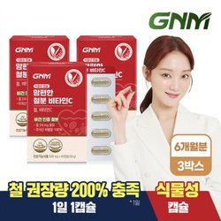 [총 6개월분] GNM 맘편한 비헴철 임산부 철분 비타민C 60캡슐 x 3병 / ... - SSG.COM