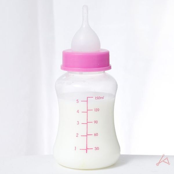 애견 색상랜덤 젖병150ml X ( 2매입 ) - SSG.COM