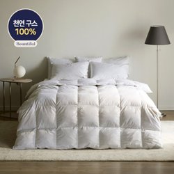호텔이불 고중량 구스다운 스탠다드 2000g 퀸Q - SSG.COM