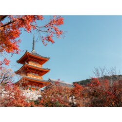 [교토관광VS유니버셜선택] 고베/오사카/교토/온천 OR USJ 여행 3일 (시내호텔 2박) - SSG.COM