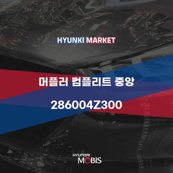 머플러 컴플리트 중앙 (286004Z300) - SSG.COM