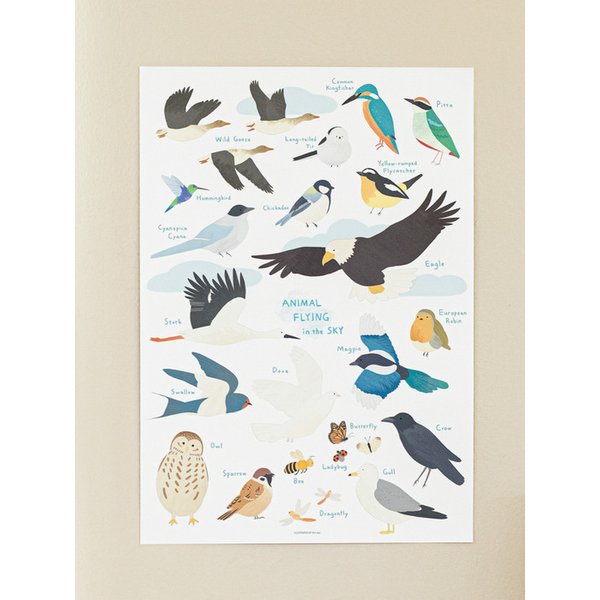동물포스터 하늘을 나는 동물, Sim Ji Su (A2, A3) - SSG.COM