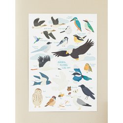 동물포스터 하늘을 나는 동물, Sim Ji Su (A2, A3) - SSG.COM