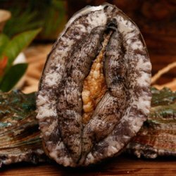 완도 활大전복 5미 460g - SSG.COM