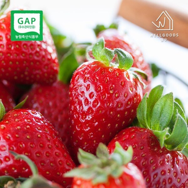 [웰굿][GAP인증] 산지직송 논산 딸기 설향 800g(35과,특과) - SSG.COM