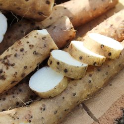 [GAP 인증] 안동 장마(특상품) 2kg/3kg/5kg - 이마트몰, 원하는 상품을 원하는 시간에 쓱, 이마트몰