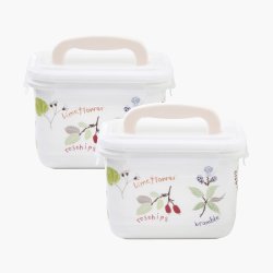 와일드베리즈 생생용기 2.3L 2개세트 - SSG.COM