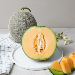 [산지직송] 15brix이상 경북 함안 노을메론 2-3수 (4kg내외) - SSG.COM